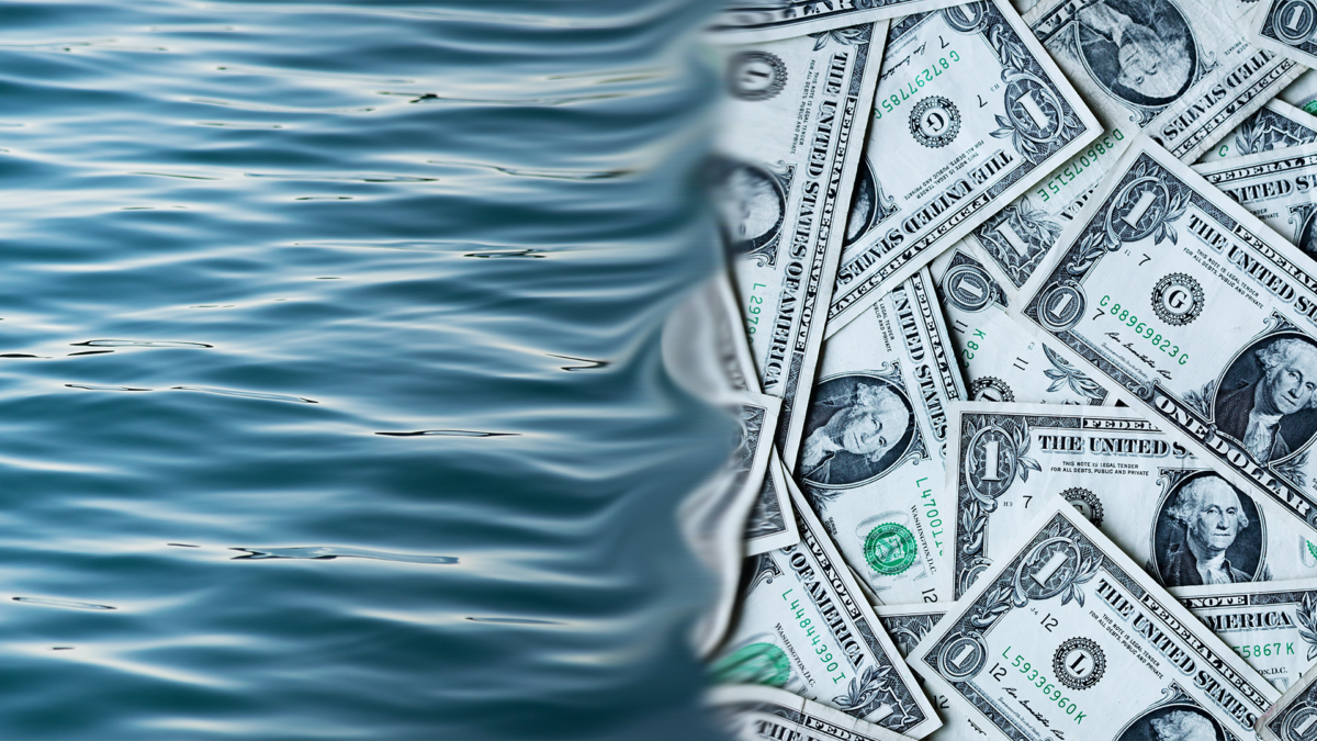 Water Leak Detector | Wireless Leak Detection Systems | Bluebot