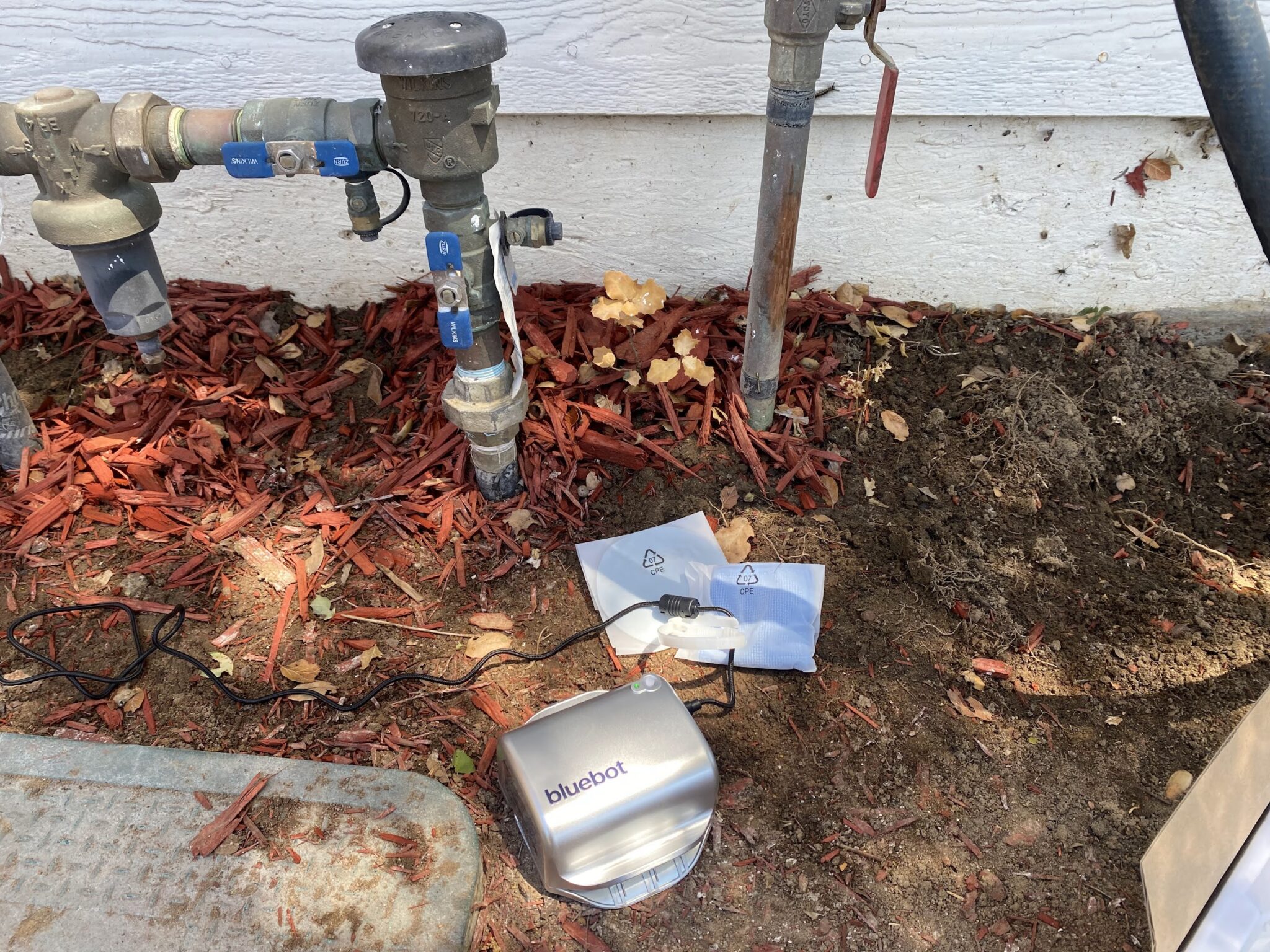 Early Signs of Water Damage in Walls: Detect Hidden Leaks